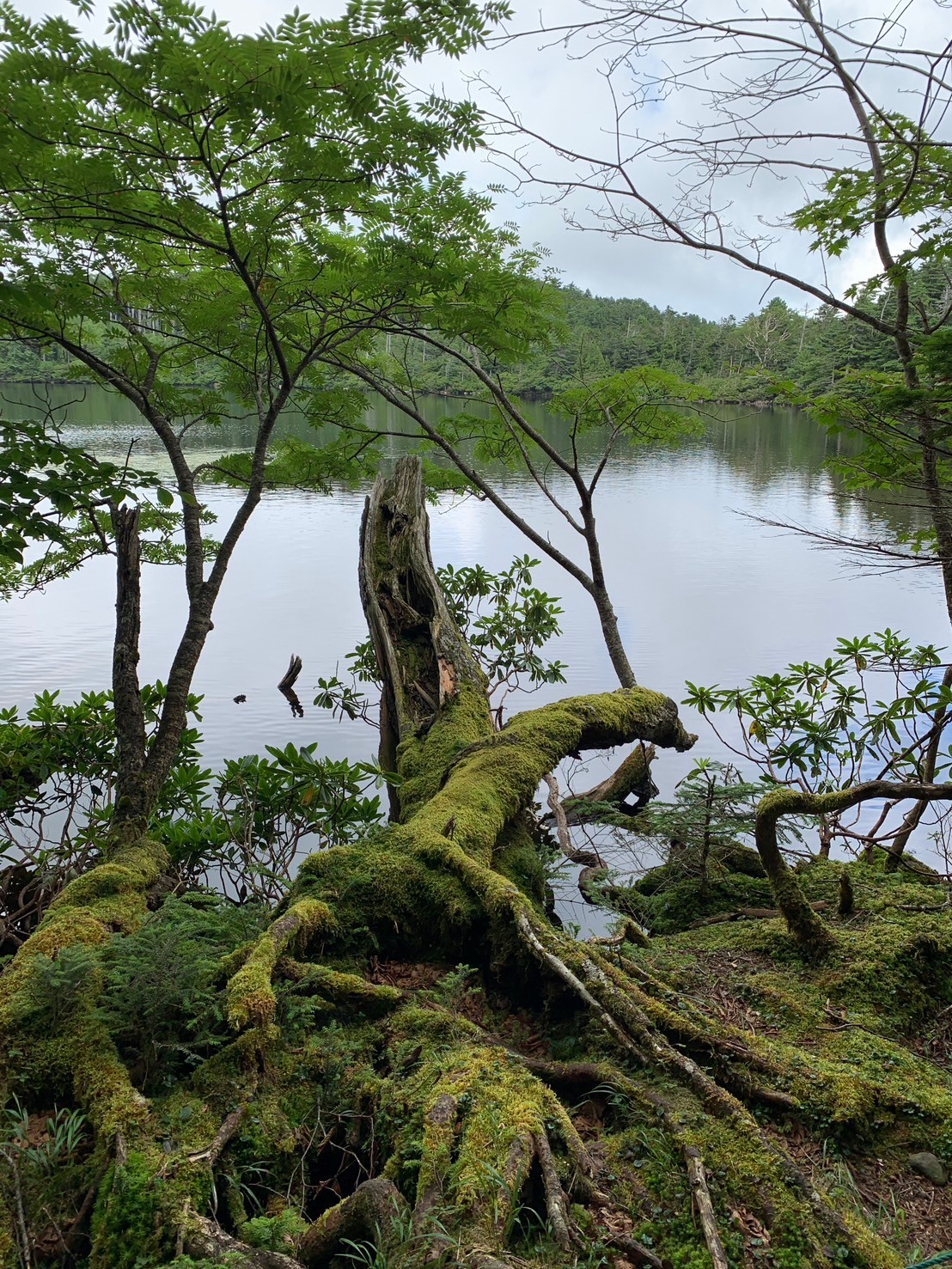 吉祥寺ヘッドスパサロンL’TLYL(リトリル)のHitomiのblog〜9月出勤日と長野帰省〜