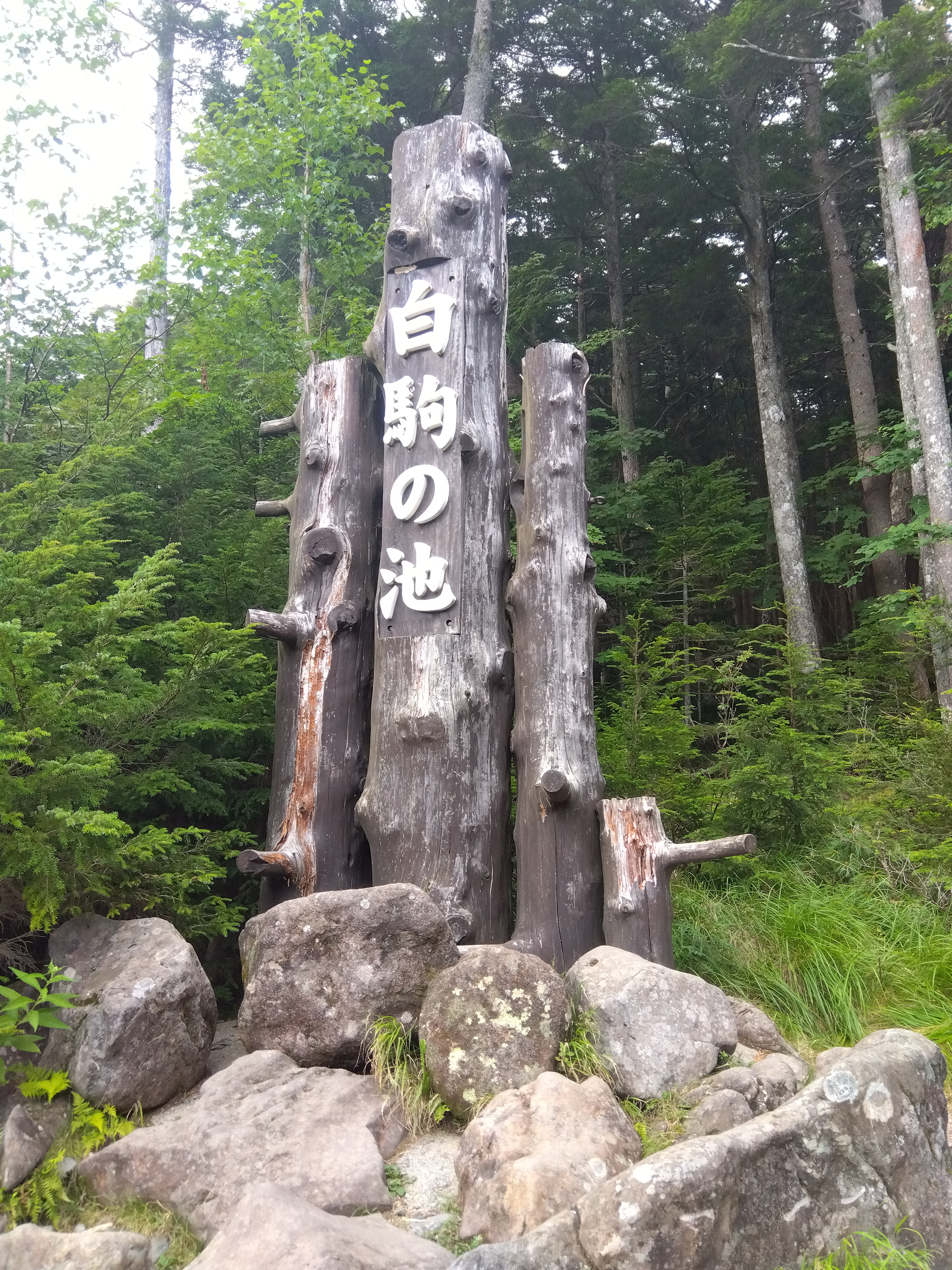 吉祥寺ヘッドスパサロンL’TLYL(リトリル)のHitomiのblog〜9月出勤日と長野帰省〜